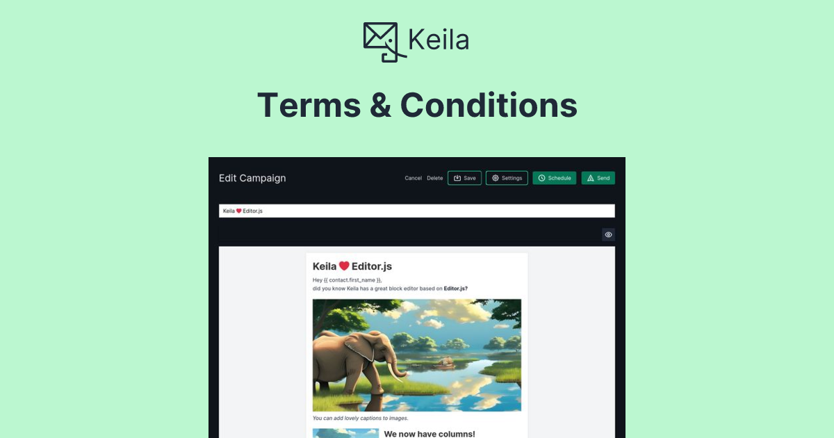 Terms & Conditions - Keila