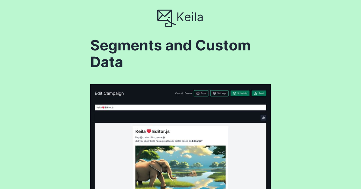 Segments and Custom Data - Keila
